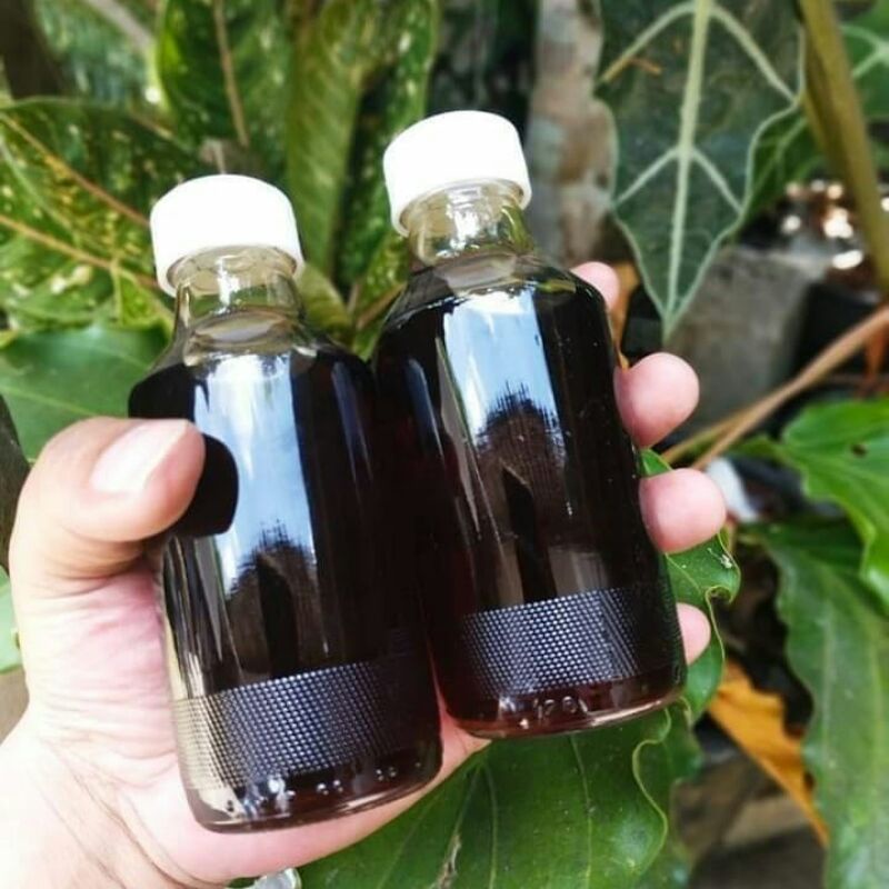 Jual MADU LANCENG KESEHATAN TUBUH | Shopee Indonesia