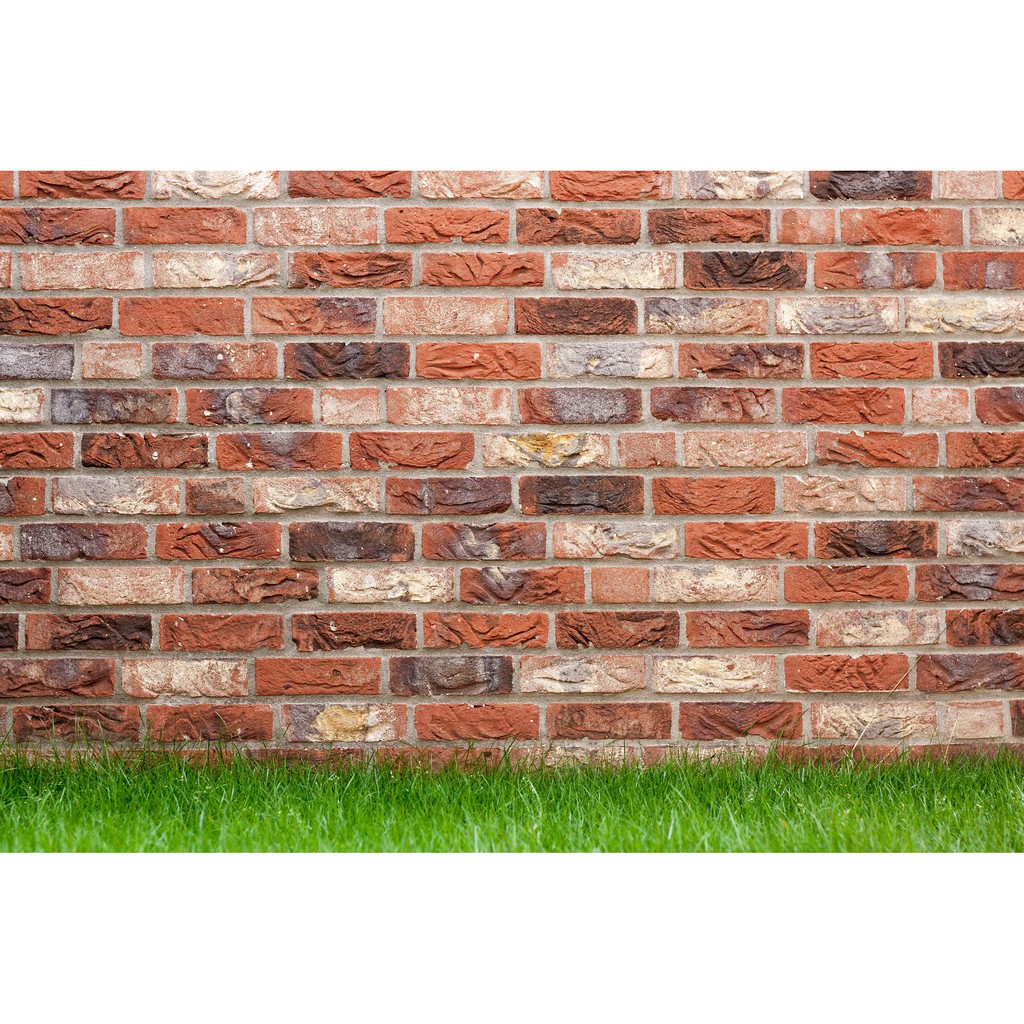 Jual Background Pigura Mahar | Shopee Indonesia