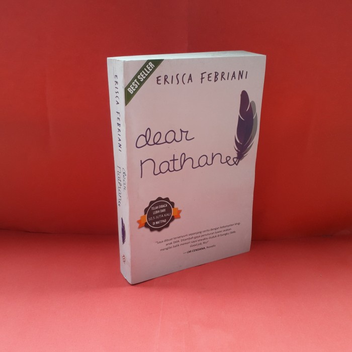 Jual Dear Nathan ( Erisca Febriani ) | Shopee Indonesia
