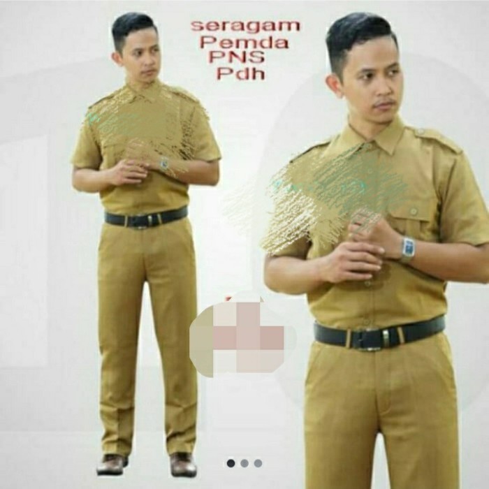 Jual seragam pns-baju keki pendek - XXL | Shopee Indonesia