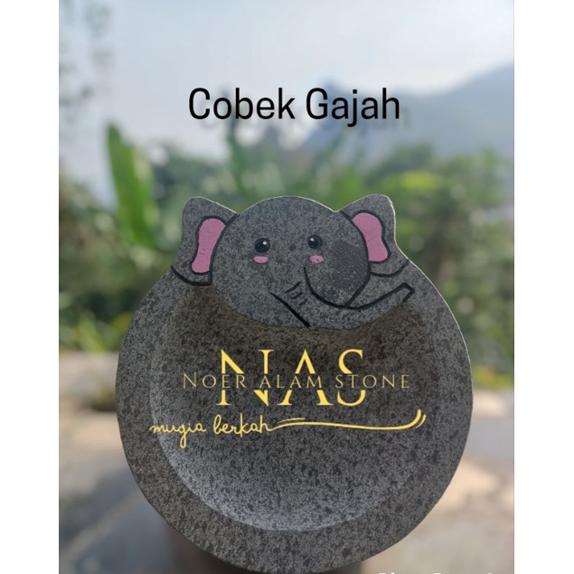 Jual COBEK/ COET BATU KARAKTER HEWAN LUCU IKAN,GAJAH ASLI BATU + ULEKAN ...