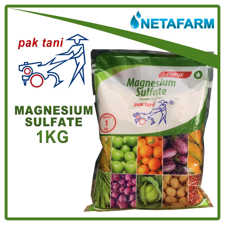 Jual Pupuk MAGNESIUM SULFATE PAK TANI Kemasan Original 1KG | Shopee ...