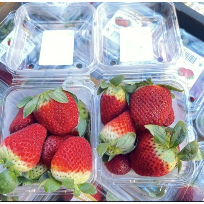 Jual strewberry Korea | strwberry Korea jumbo - 1 pack | Shopee Indonesia