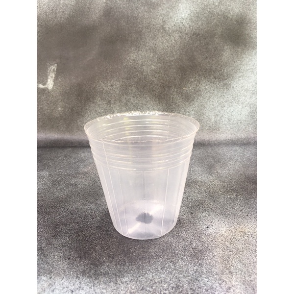 Jual Soft Pot Remaja 2.5 Inch (8cm) | Shopee Indonesia