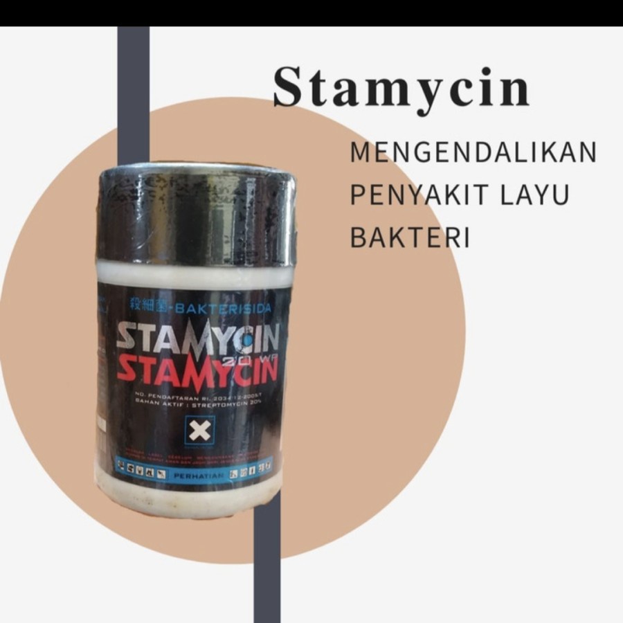 Jual STAMYCIN OBAT ANTI BONYOK, BUSUK BATANG, SEMUA TANAMAN ORIGINAL ...
