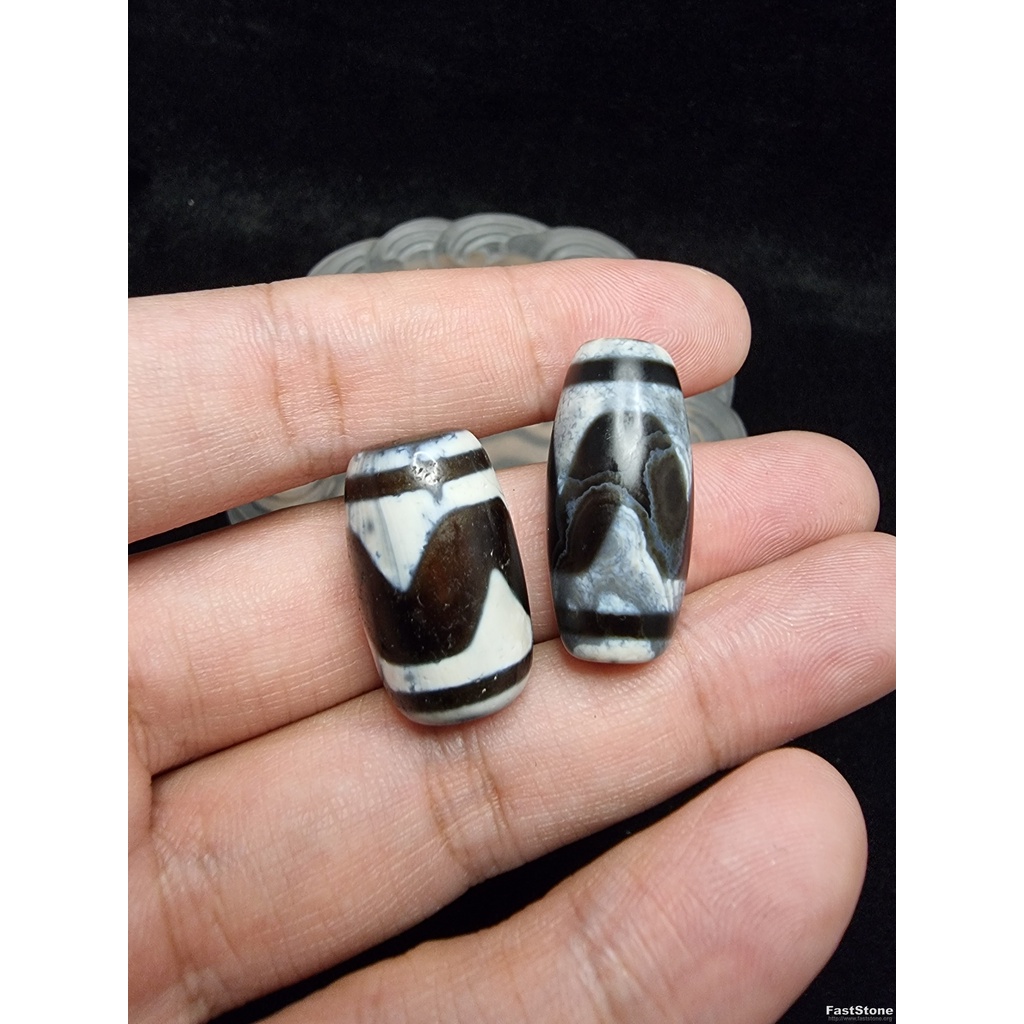 Jual Batu Akik Dzi Tiger Fang Ghee Blessed Tibet 25mm E1225 | Shopee ...