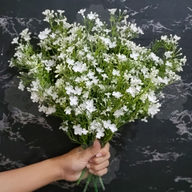 Jual Bunga Baby's Breath Gypsophila Colorful Dekor Rumah Kantor Wedding ...