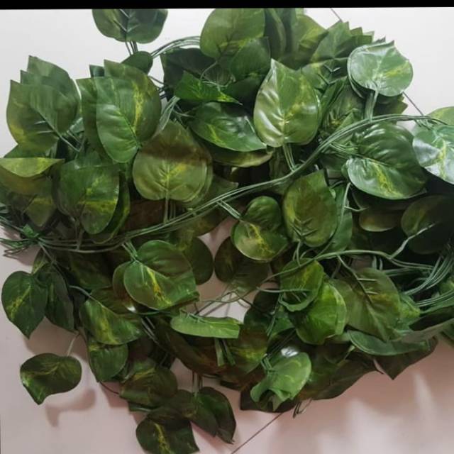 Jual Tanaman Rambat Artificial - Tanaman Sirih Gading Sintetis | Shopee ...