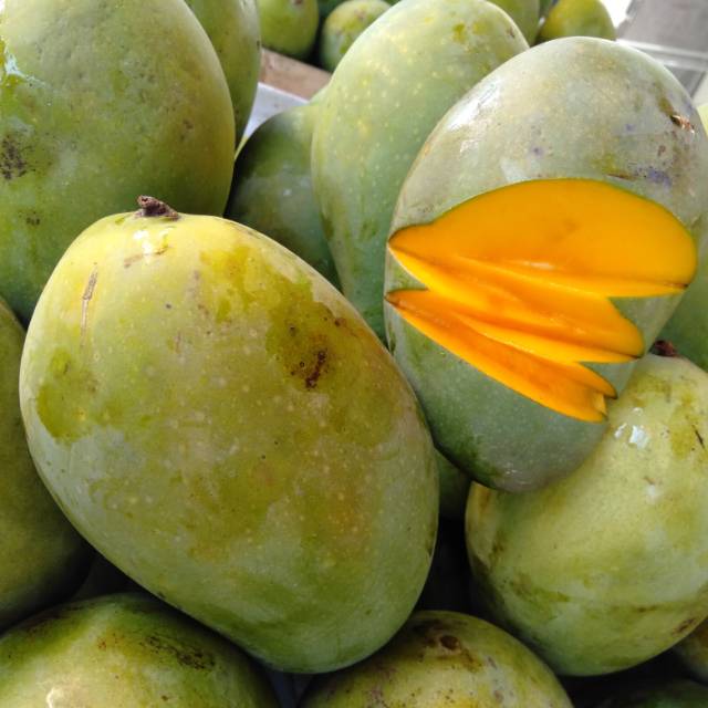 Jual Mangga Harum manis segar minim order 3kg @ kilogram | Shopee Indonesia