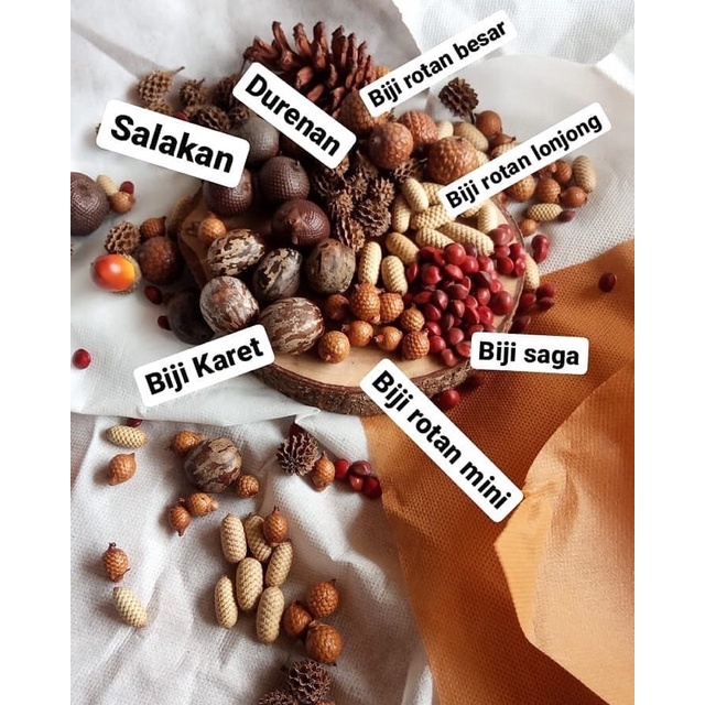 Jual BIJI bijian bahan craft bahan mahar bahan rustic kerajinan ...