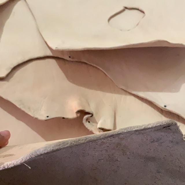 Jual HARGA untuk 10 ft! Kulit Asli Sapi Mentahan Lembaran Nabati ...