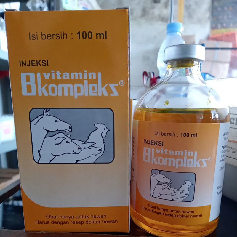 Jual VITAMIN B KOMPLEKS INJEKSI 20 ML DAN 100 ML meningkatkan ...