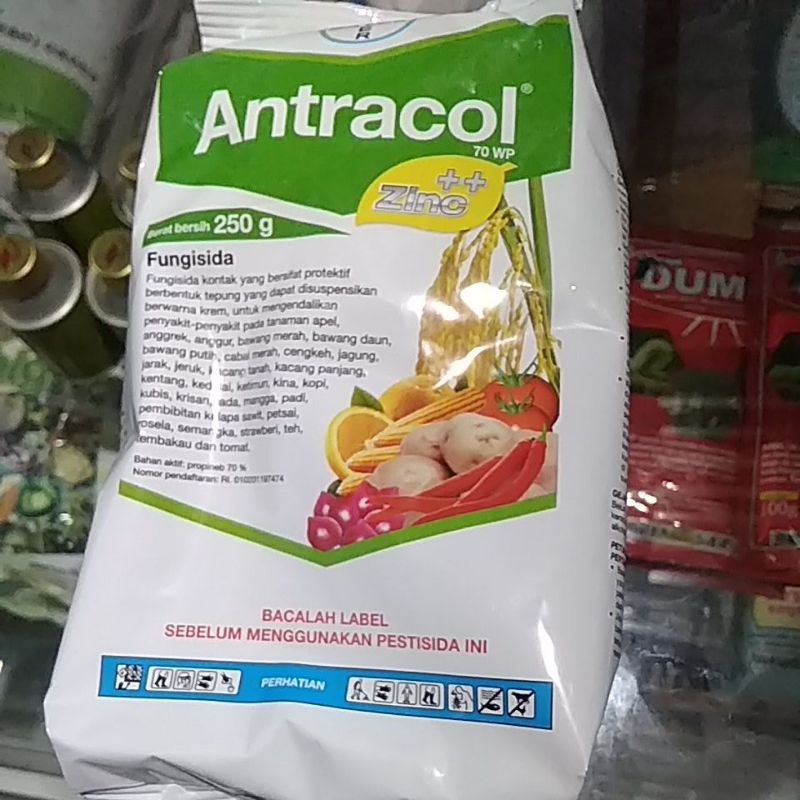 Jual Fungisida Antracol 70 wp ++ Zinc 250 gram membuat tanaman lebih ...