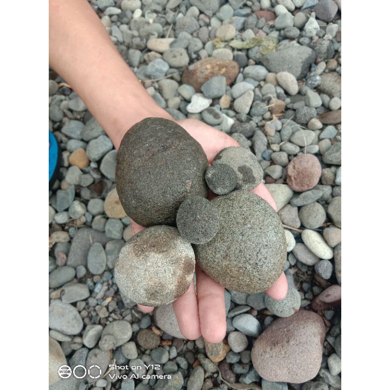 Jual Batu kali bulat natural aquascape per 1kg | Shopee Indonesia