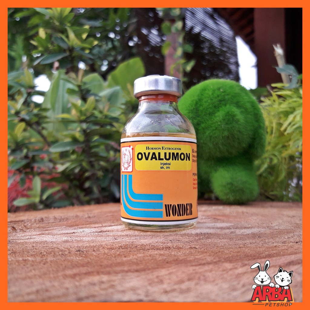 Jual OVALUMON 20 ml Obat Birahi Hewan Suntik Untuk Kelinci Kucing ...