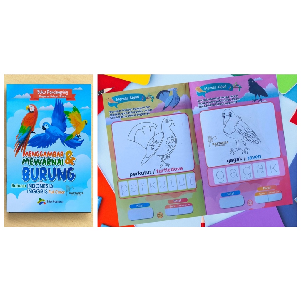 Jual BUKU MEWARNAI DENGAN CONTOH Tema Burung Full Color Bilingual Untuk ...
