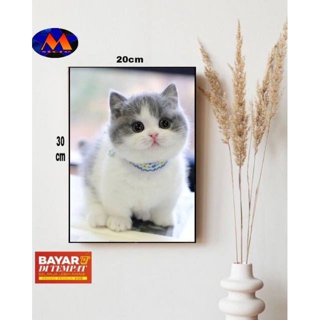 Jual HIASAN DINDING TEMA KUCING/POSTER KAYU GAMBAR KUCING/KUCING PERSIA ...