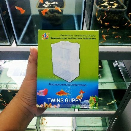 Jual BREEDING BOX L IKAN GUPPY / MOLY | Shopee Indonesia