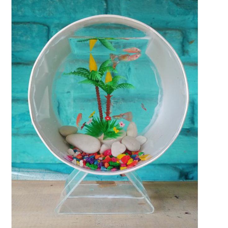 Jual aquarium mini unik akrilik pvc bulat cupang,gapi,neon,ikan hias ...
