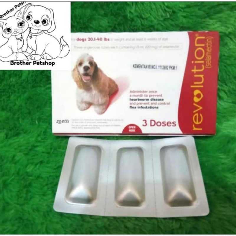 Jual REVOLUTION DOG 1 TUBE Obat Tetes Kutu Anjing Berat 9 - 18kg / Tube ...