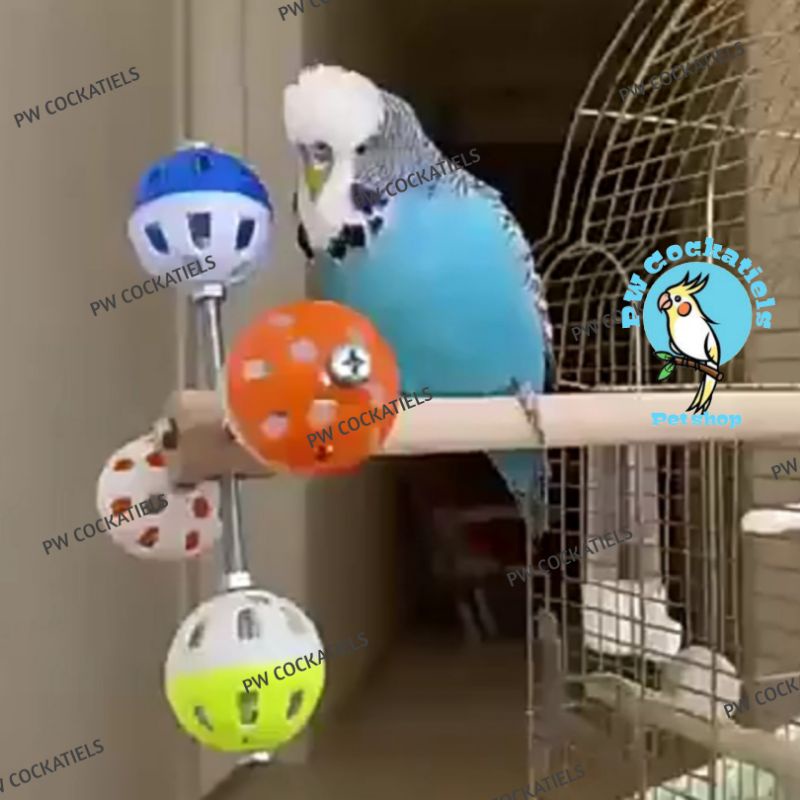 Jual Kincir Bola Lonceng Mainan Burung Parrot Parkit Lovebird Sugar ...