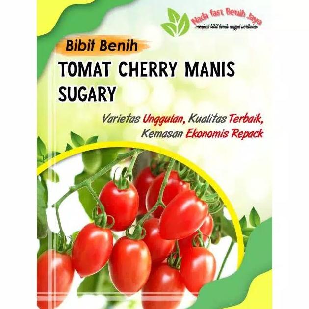 Jual Benih sayuran buah tomat cerry manis sugary 2 bijj benih sayuran ...