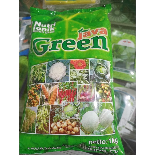 Jual JAVA GREEN 1kg | Shopee Indonesia
