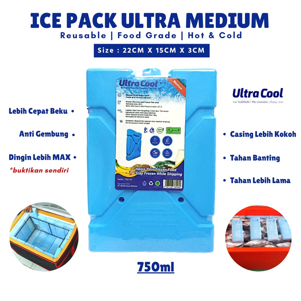 Jual Alat Pendingin Ikan Toko Ice Pack Alat Pendingin Ice Cream Ice ...