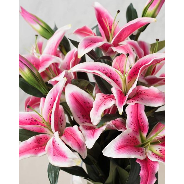 Jual BUNGA LILY SEGAR SATU BATANG ISI 2 - 5 KUNTUM. | Shopee Indonesia