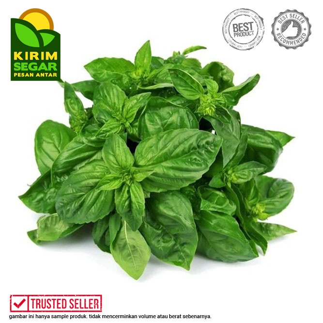 Jual Basil / Daun Basil Segar / Basil Fresh/Pack | Shopee Indonesia