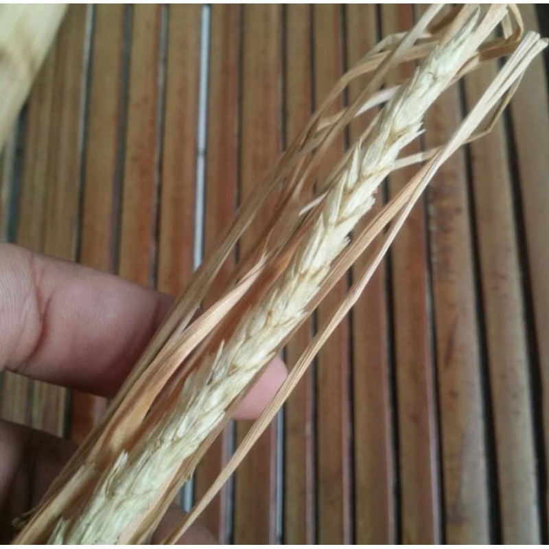 Jual Barang Antik Mustika Kembang Sereh Bunga Serai Asli Original Alam ...