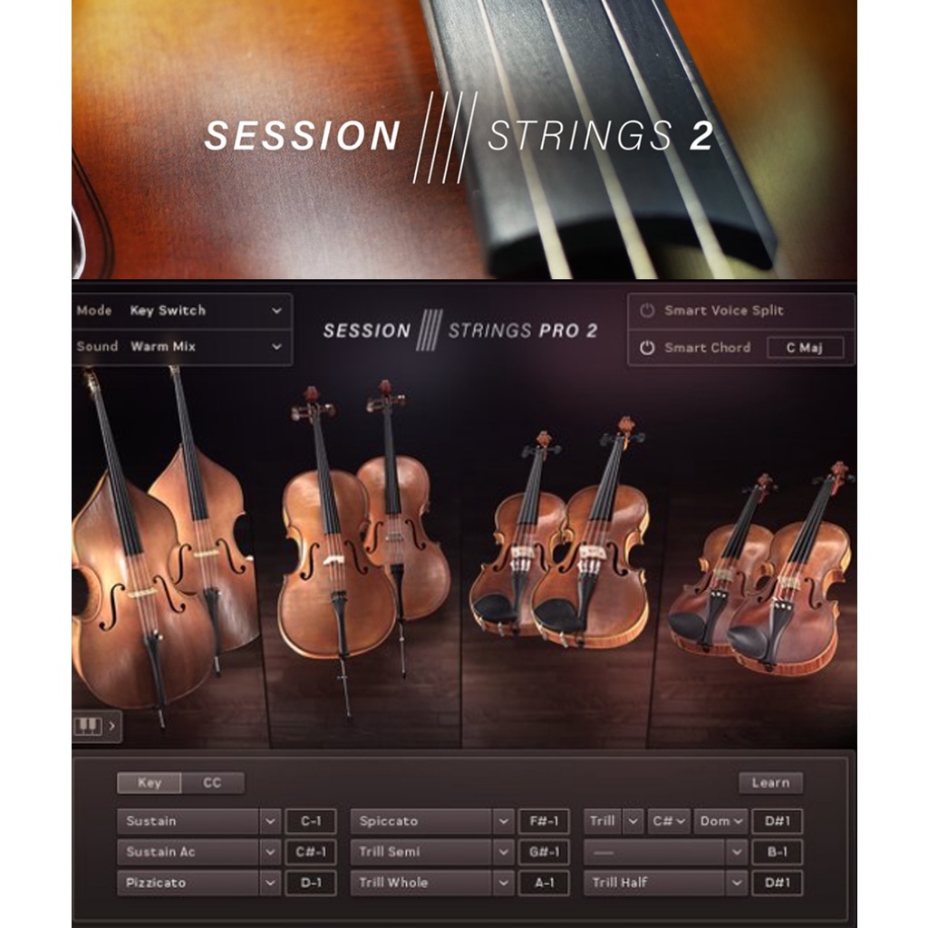 Jual Session String Pro 2 Kontakt Library | Shopee Indonesia