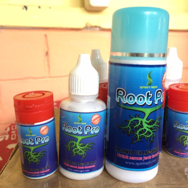Jual ROOT PRO (Rajanya Perangsang Akar) | Shopee Indonesia