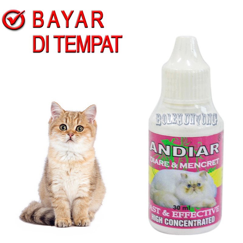 Jual ANDIAR CAT OBAT MENCRET KUCING SAKIT DIARE KITTEN PENCERNAAN PERUT ...