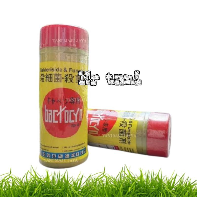 Jual BACTOCYN 150AL 200ML FUNGISIDA OBAT PENCEGAH DAN PEMBASMI BAKTERI ...