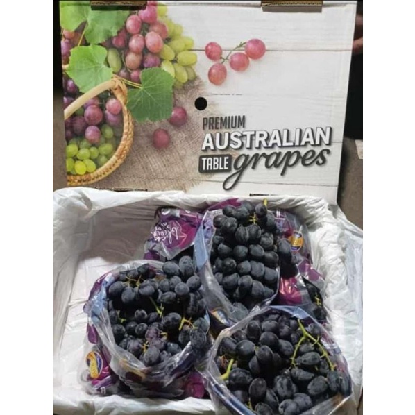 Jual Buah anggur black autumn 250gram buah anggur segar buah fresh ...