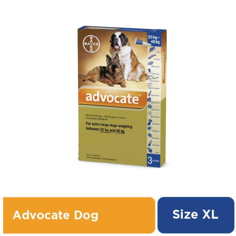 Jual Advocate Dog XL Extra Large Obat Kutu Anjing Tetes 25-40KG Tube 4. ...