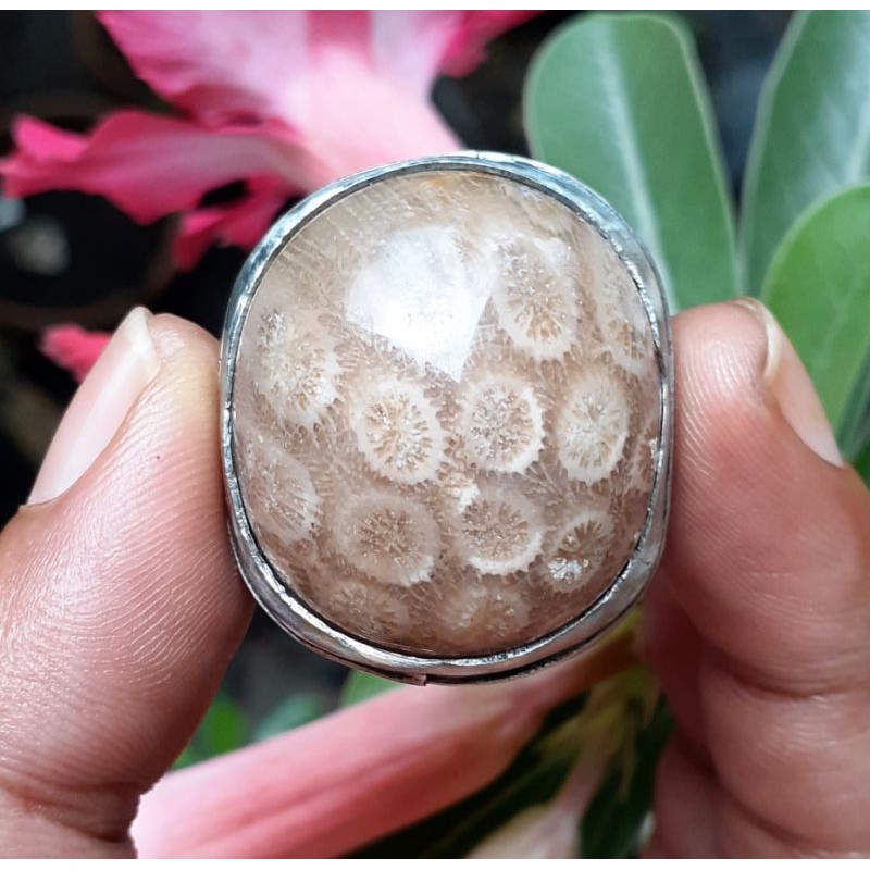 Jual Batu Teratai Kristal Jumbo Bengkulu Lawasan Sejak Tahun 1980an ...