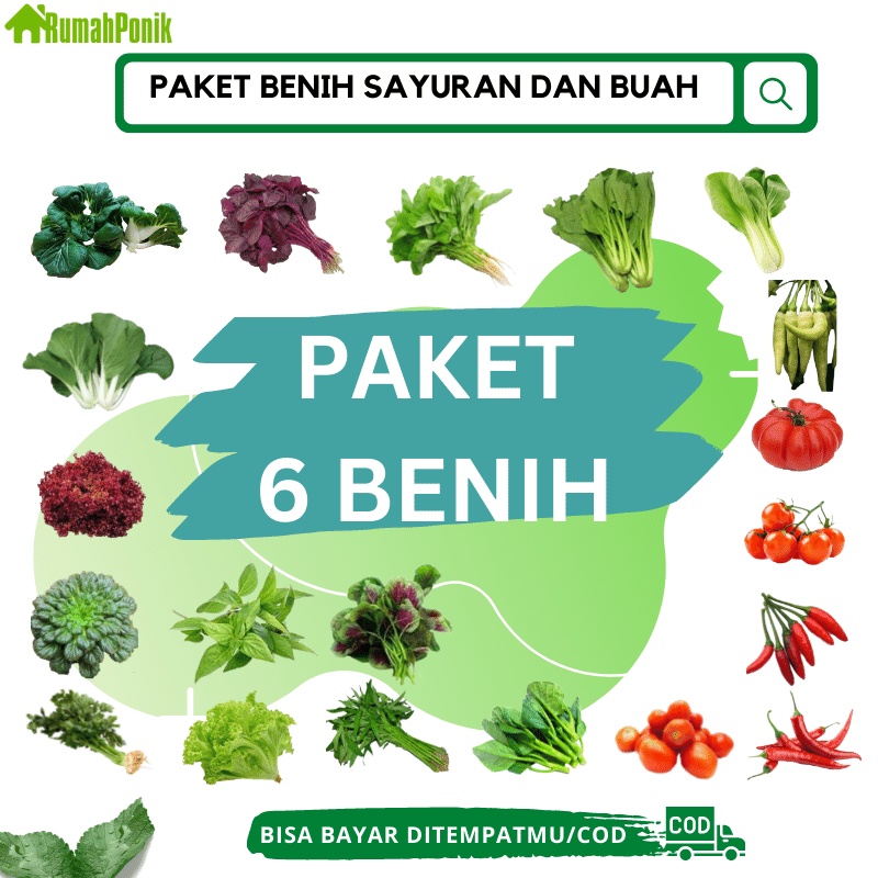 Jual Paket Benih Sayuran (Pakcoy, Sawi Dakota, Bayam Merah, Bayam Hijau ...