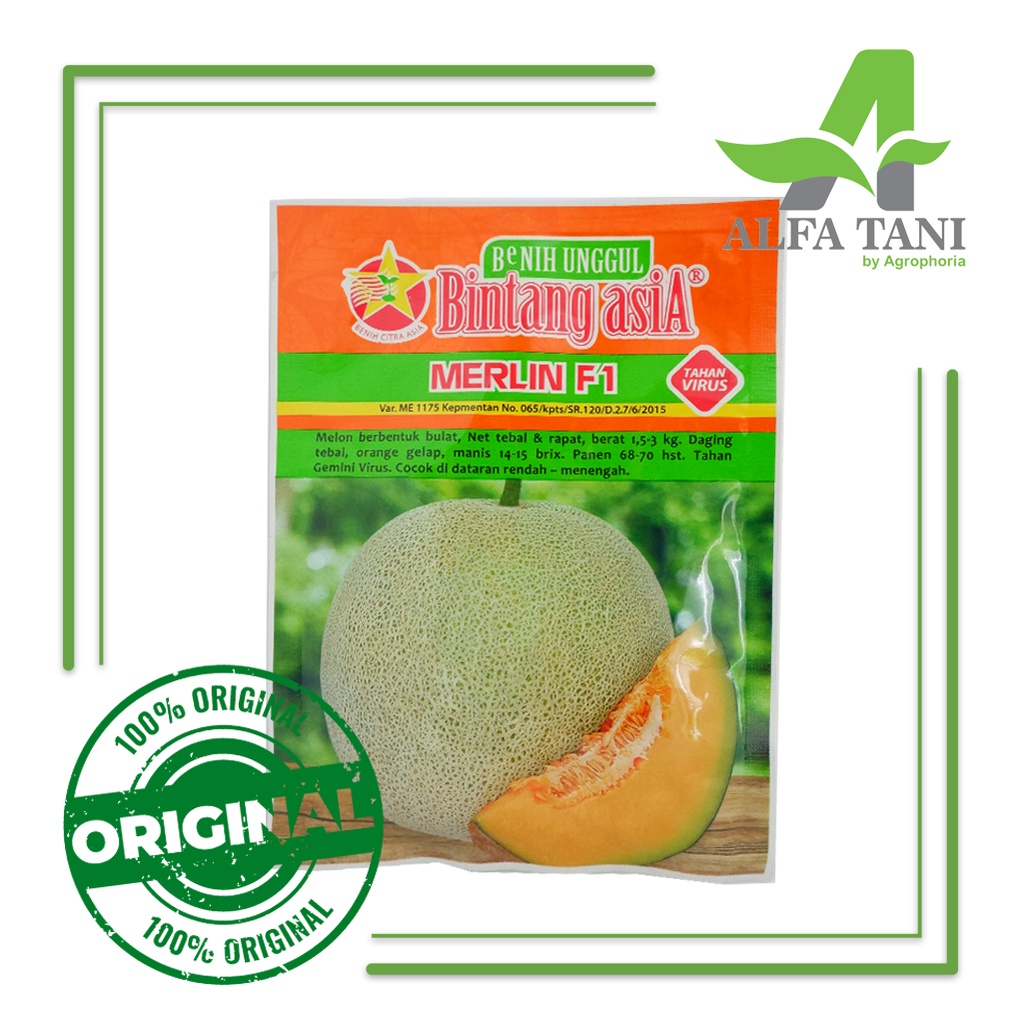 Jual Benih Melon Merlin F1 / Melon Daging Orange / Bintang Asia ...