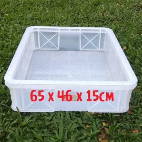 Jual Container Kontainer Kandang Torto Reptil Kontainer Totoise SEKAT OJOL 58cm 60cm 74cm ...