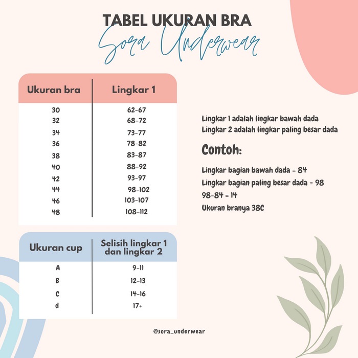 Jual Bra bh beha pakaian dalam wanita remaja kawat busa tali big size ...