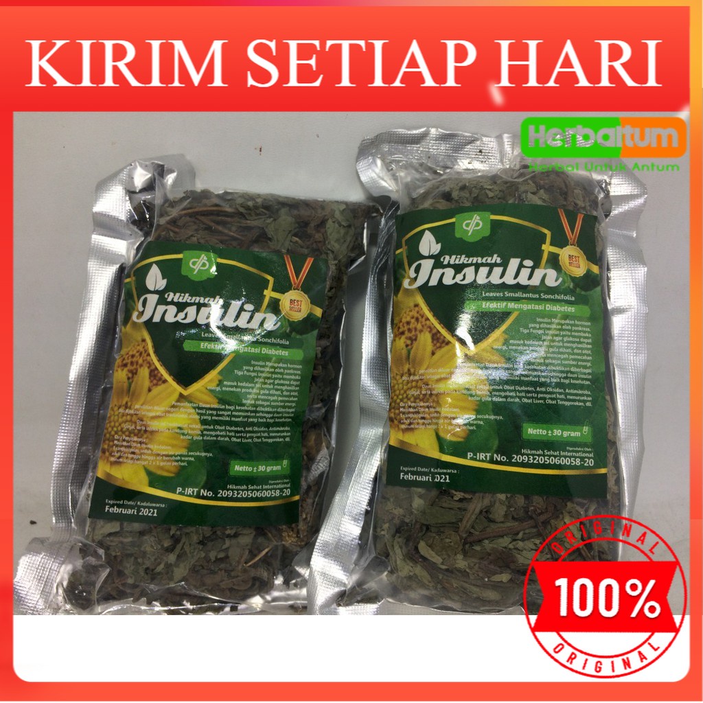 Jual DAUN INSULIN ASLI / DAUN HERBAL INSULIN / DAUN INSULIN UNTUK ...