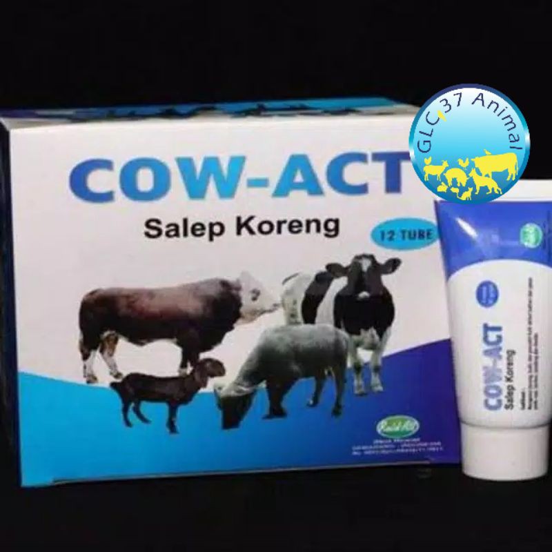 Jual COW ACT OBAT SALEP JAMUR KORENG KUDIS SAPI KAMBING KERBAU DOMBA ...