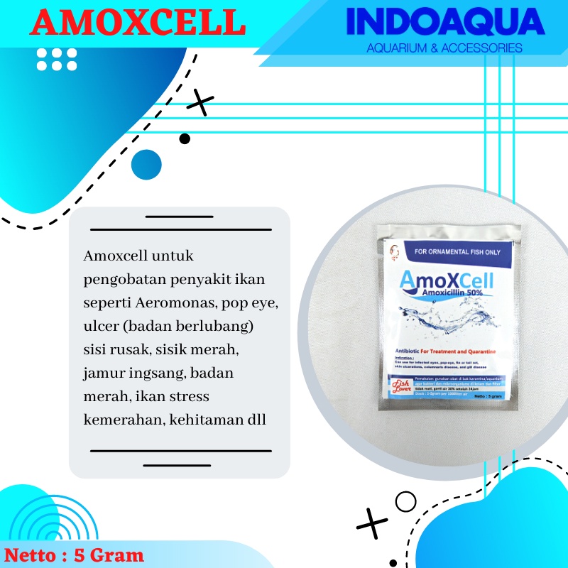 Jual Amoxcell Obat Antibiotik Ikan Hias | Amoxel Obat Karantina Ikan ...