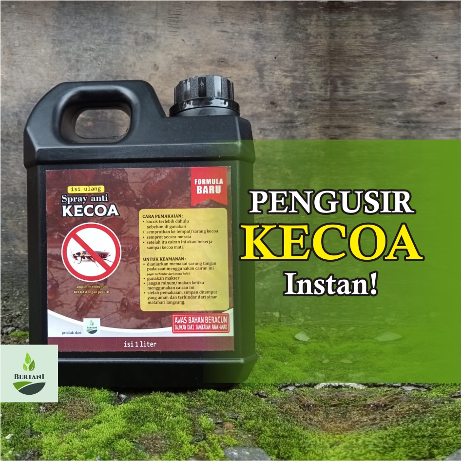 Jual Racun Kecoa SUPER AMPUH / Obat Kecoa / Pembasmi Kecoa untuk di rumah dan kendaraan (REFILL ...