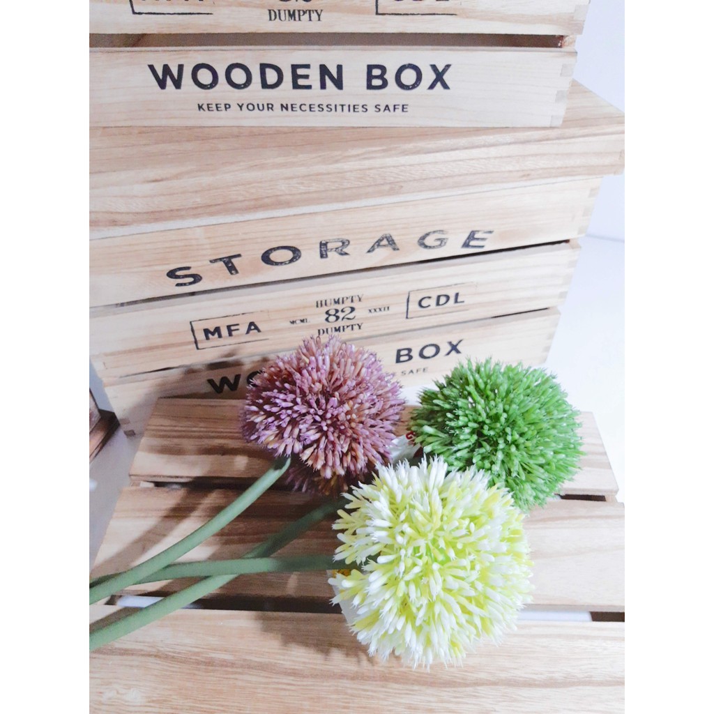 Jual Bunga Bola | Shopee Indonesia