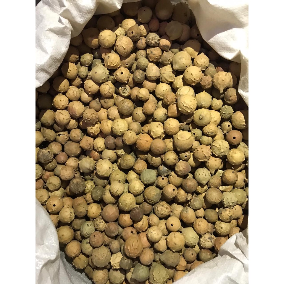 Jual BUAH MANJAKANI 500gr /BUAH MANJAKANI BEN RAPAT 500gram | Shopee ...
