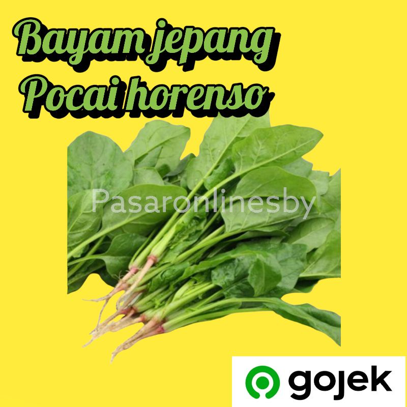 Jual PASAR GUBENG - Pocai/Horenso/Bayam jepang pack | Shopee Indonesia