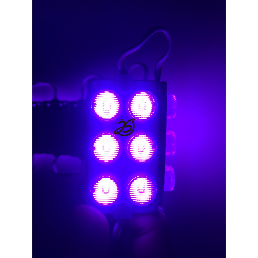 Jual LED MODUL 6 MATA (2X3) DC 12V & 24V 6W LED MODULE 2X3 INJECTION ...